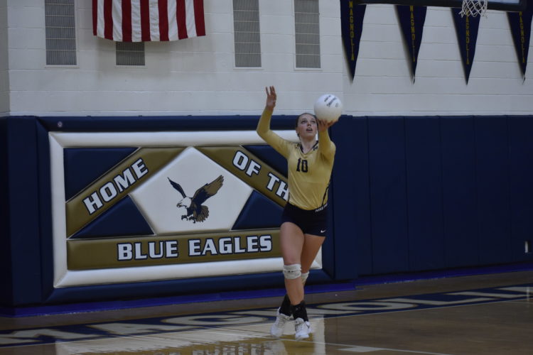 Pilant Captains Class A First Team | News, Sports, Jobs - The Intelligencer